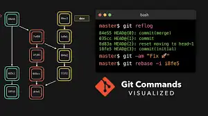 Comandos do git que todo desenvolvedor precisa saber